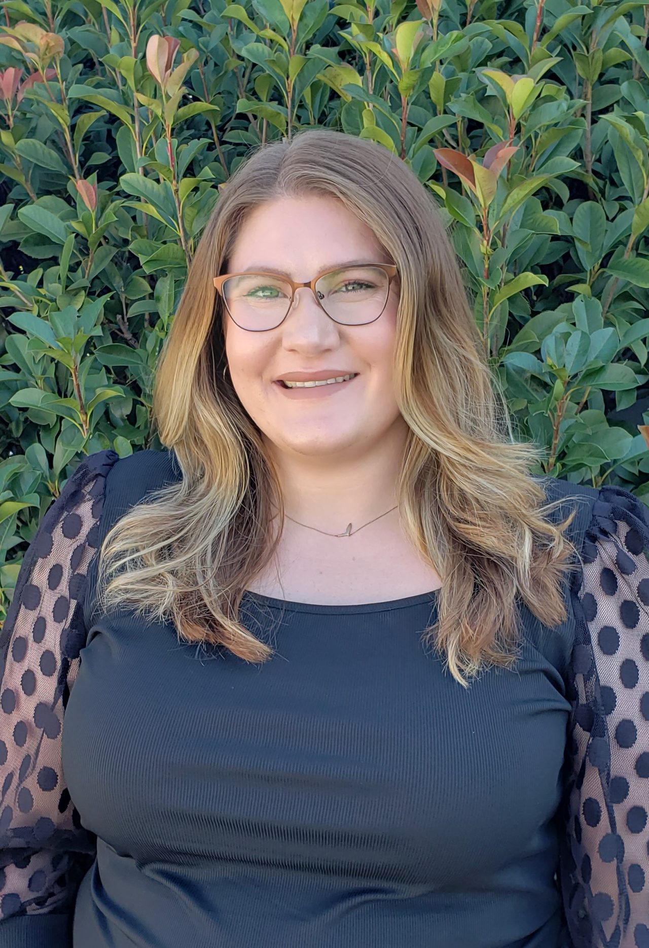 Our Team - Ocala, Belleview, Williston, FL | Ocala Land Title